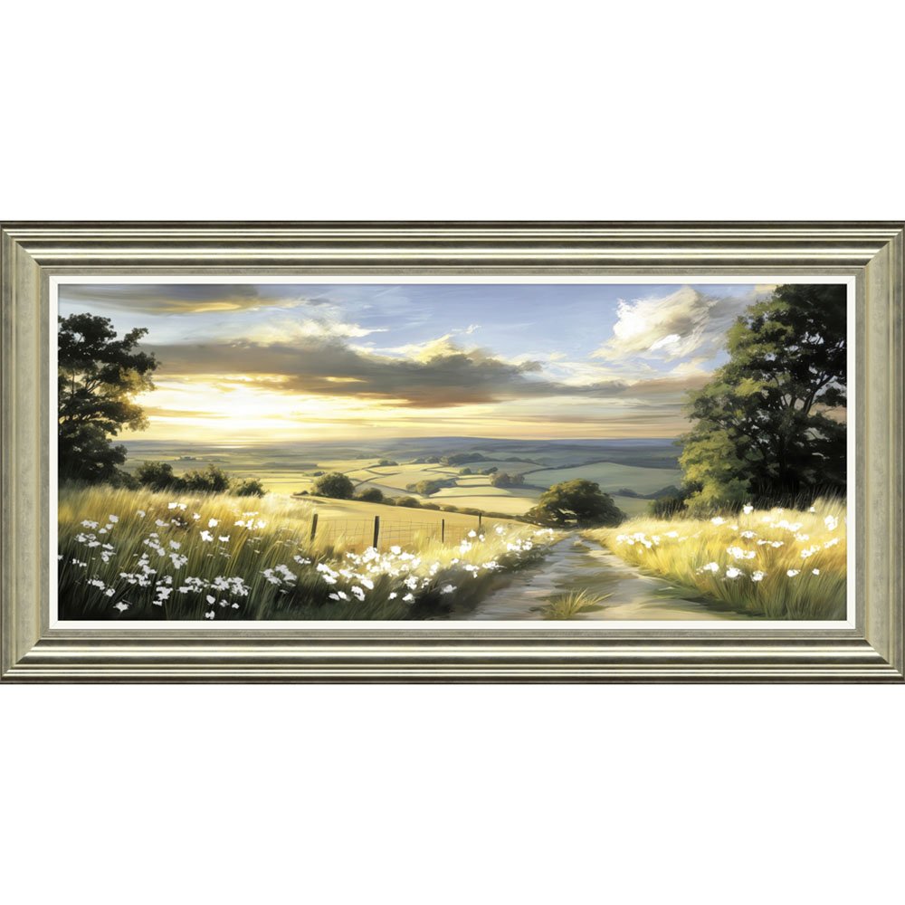 Artko Fields of Light 113cm x 58cm Picture By Simon Hartley Silver Fra ...
